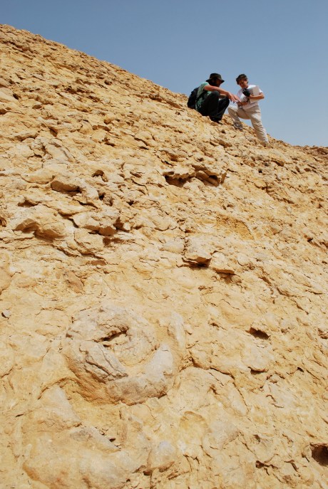 geology | earthdharma.org